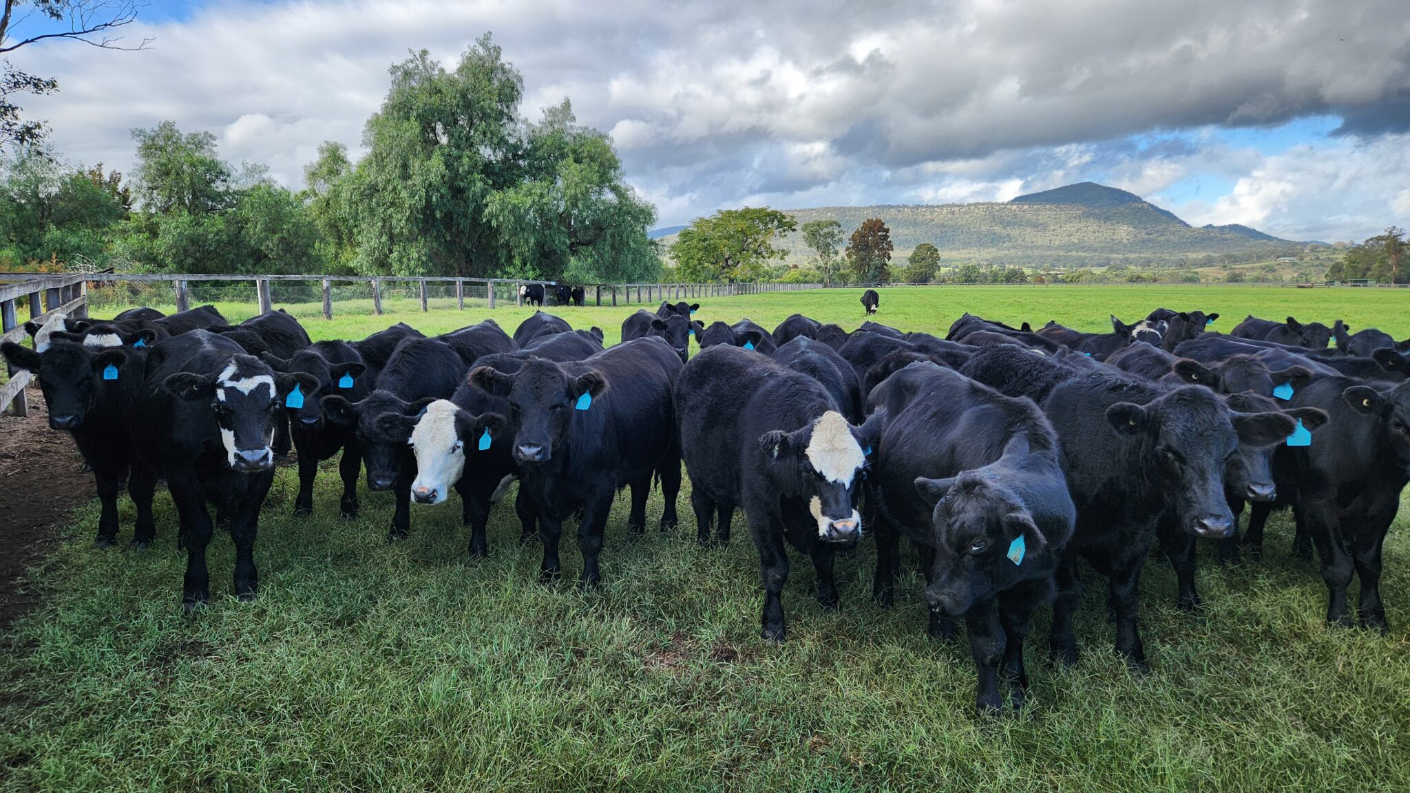 Back to Basics - Focusing on Farm Profit Drivers